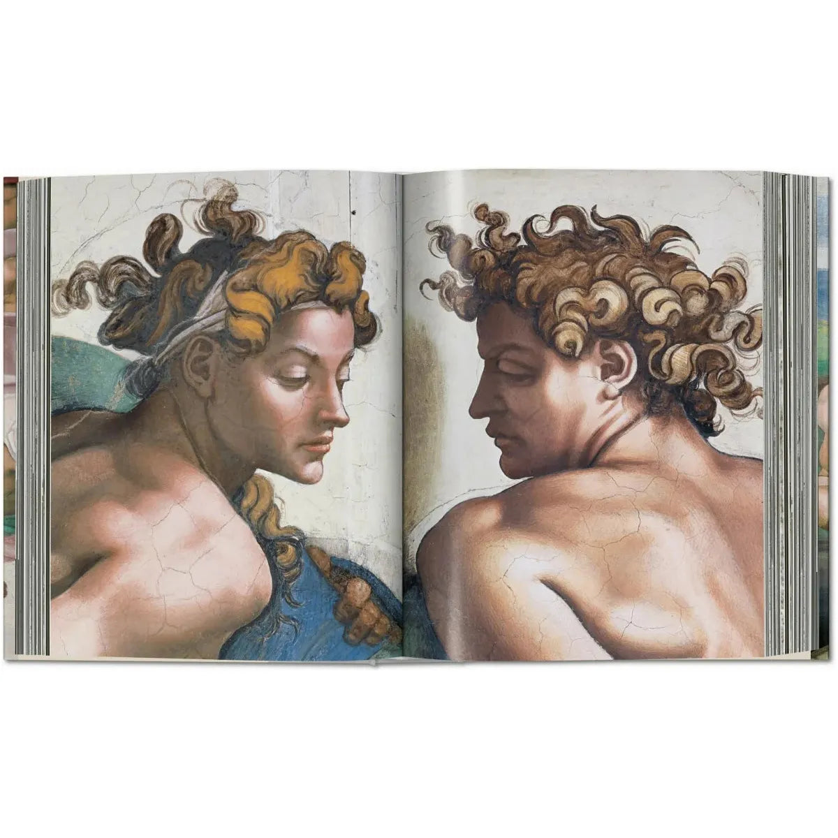 Michelangelo. the Complete Works. Paintings, Sculptures, Architecture ...